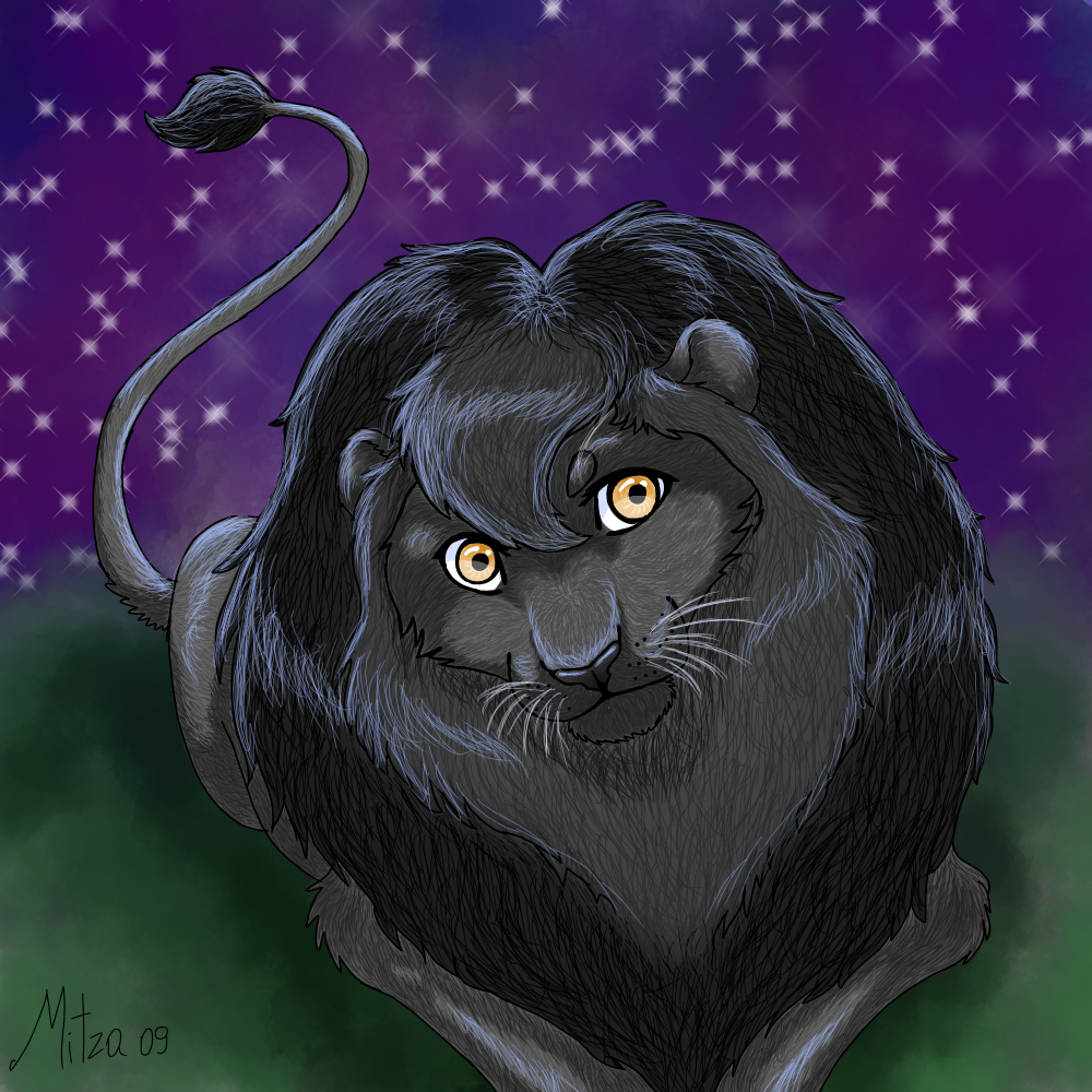 Black lion Mitza - Illustrations ART street