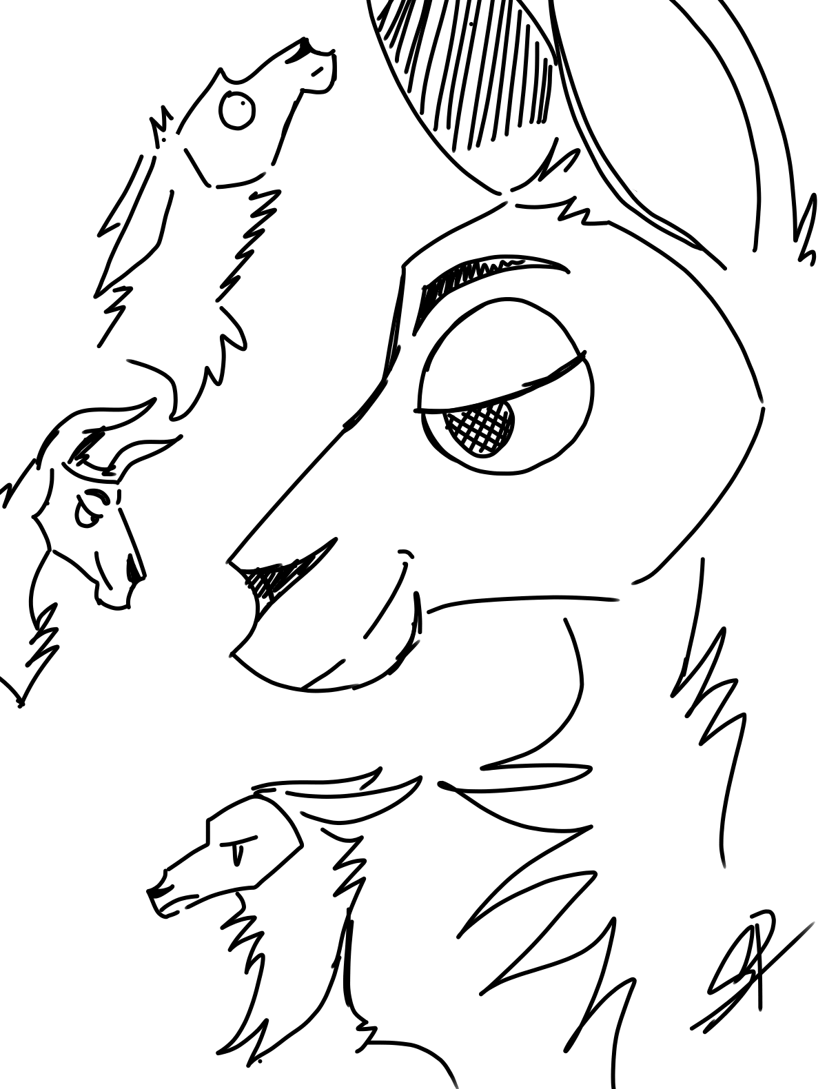 LLllaaammmaaa Squeaky Plastic - Illustrations ART street