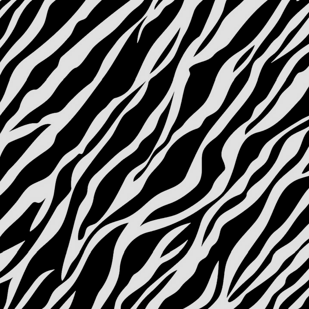 Zebra Print Undercover._.Bagel - Illustrations ART street