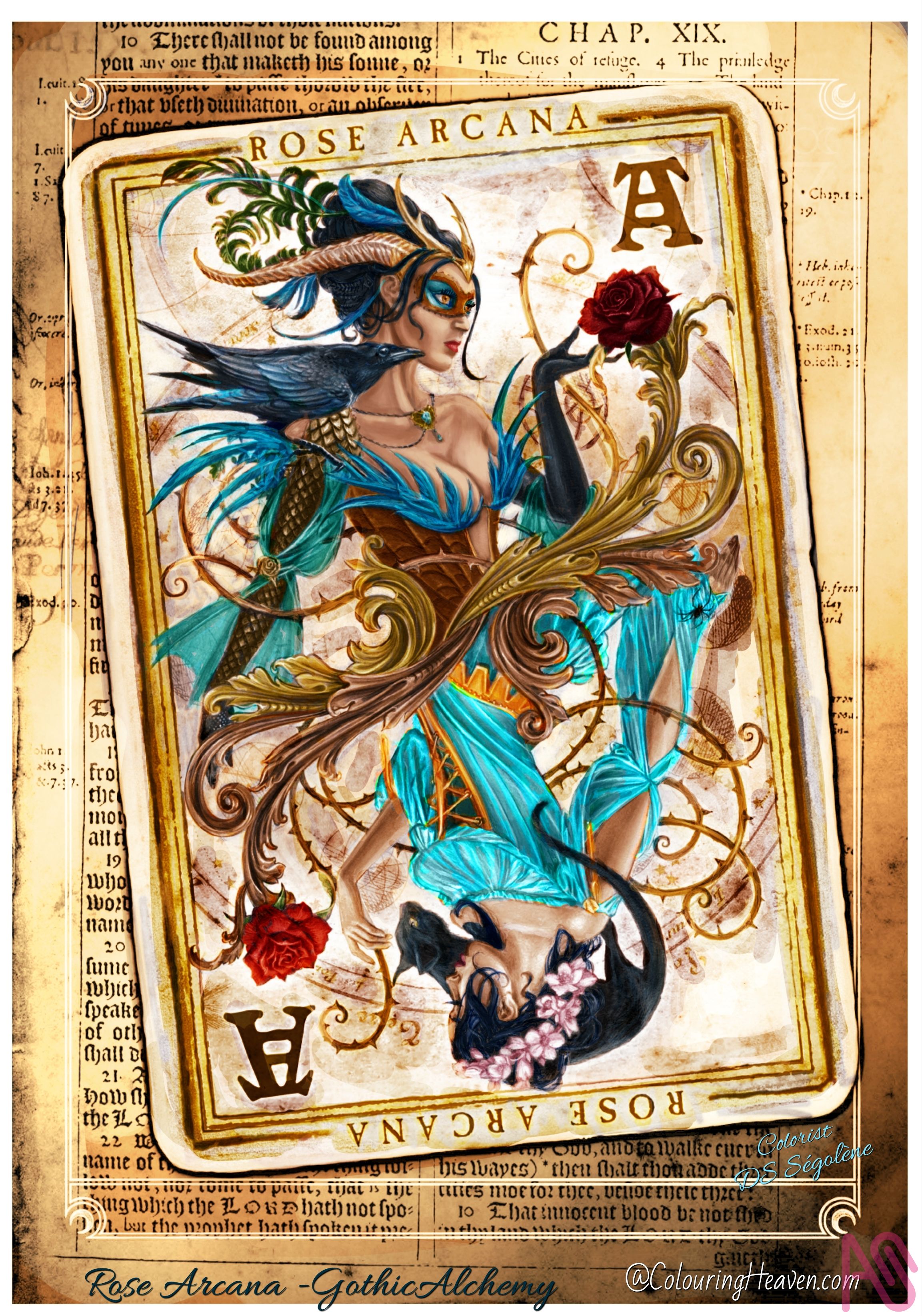 Gothic fantasy DS Ségolène - Illustrations ART street