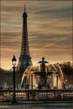 Desiree Padilla｜ART street