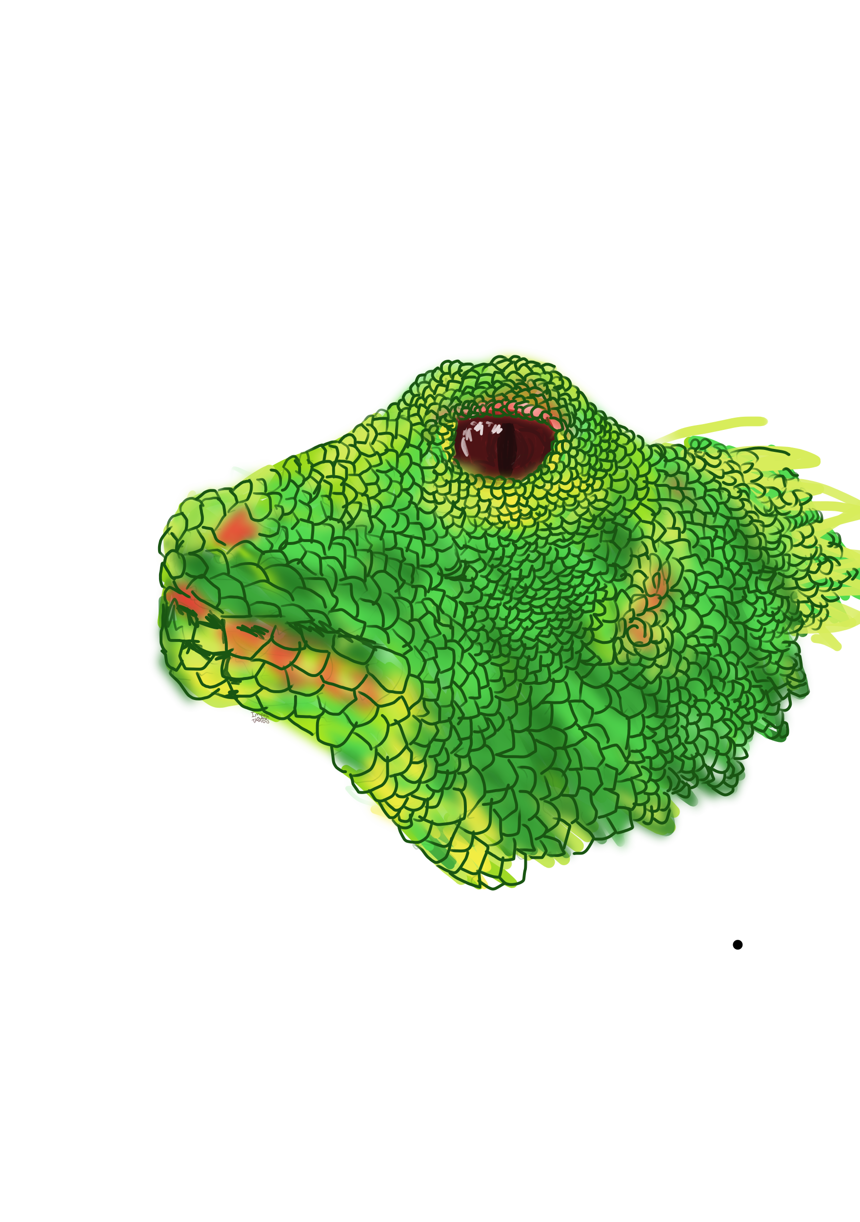 lizards! Theyre my favorite spiky reptile thesquirrelqueen ...