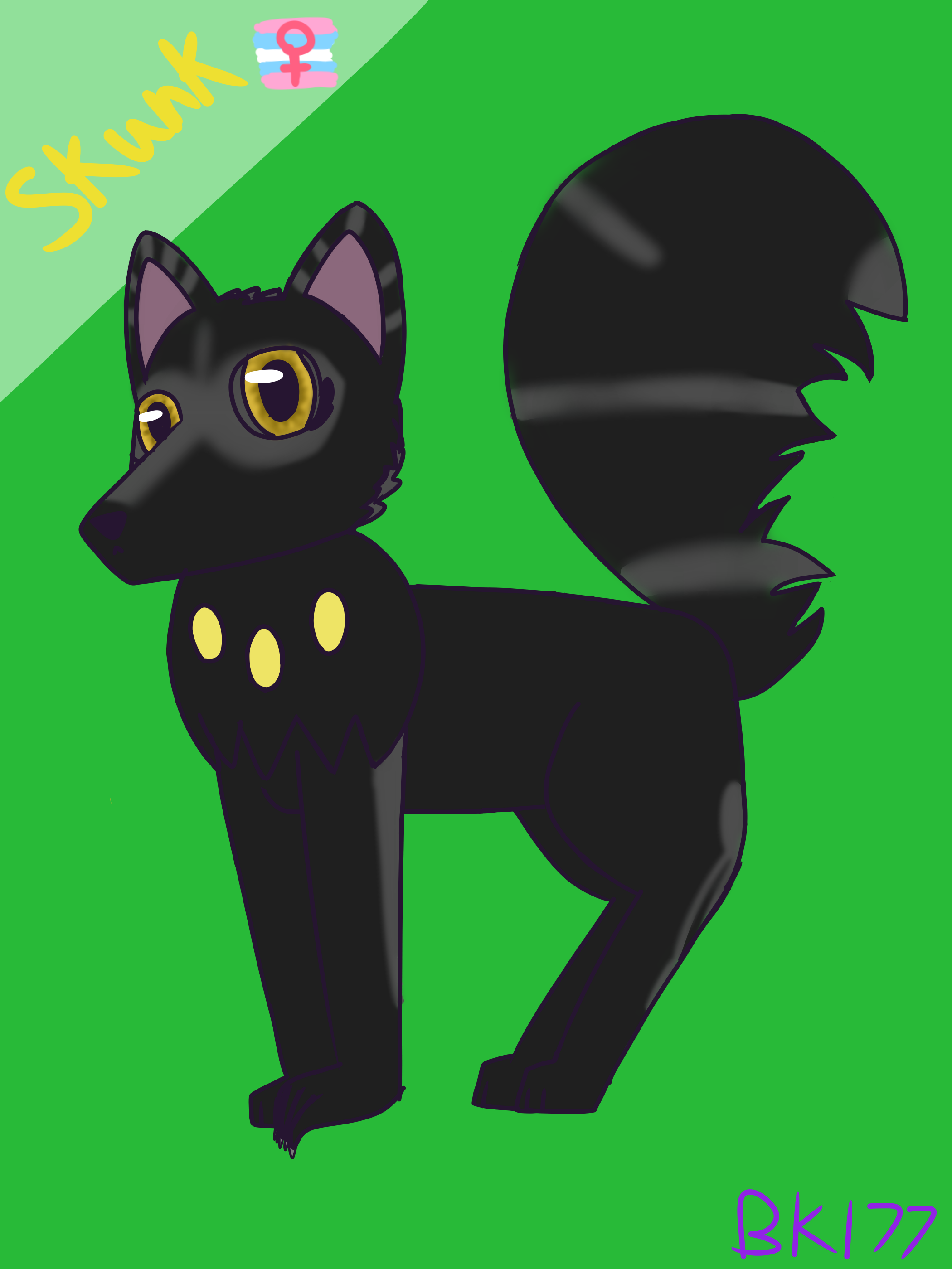 Drawing nichelings: Skunk Guest - Illustrations ART street