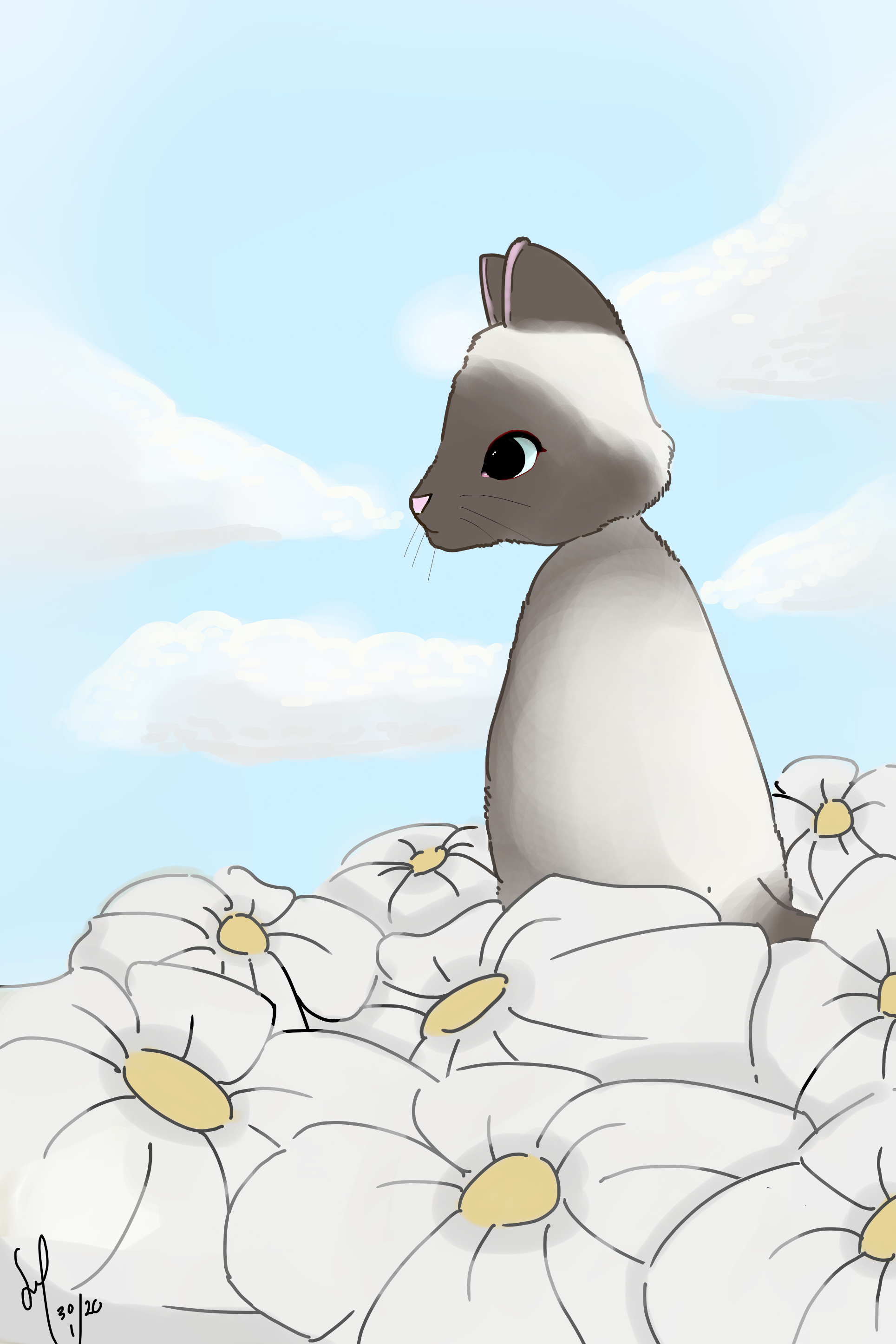 my lovely cat, issi sitnad - 插图 ART street