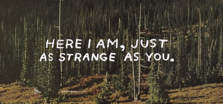 mel rosa｜ART street