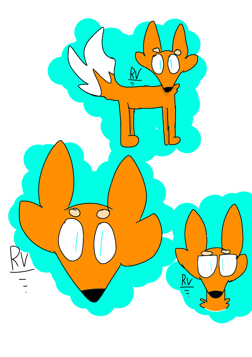 fox Kit Kat galaxy fox - Illustrations ART street