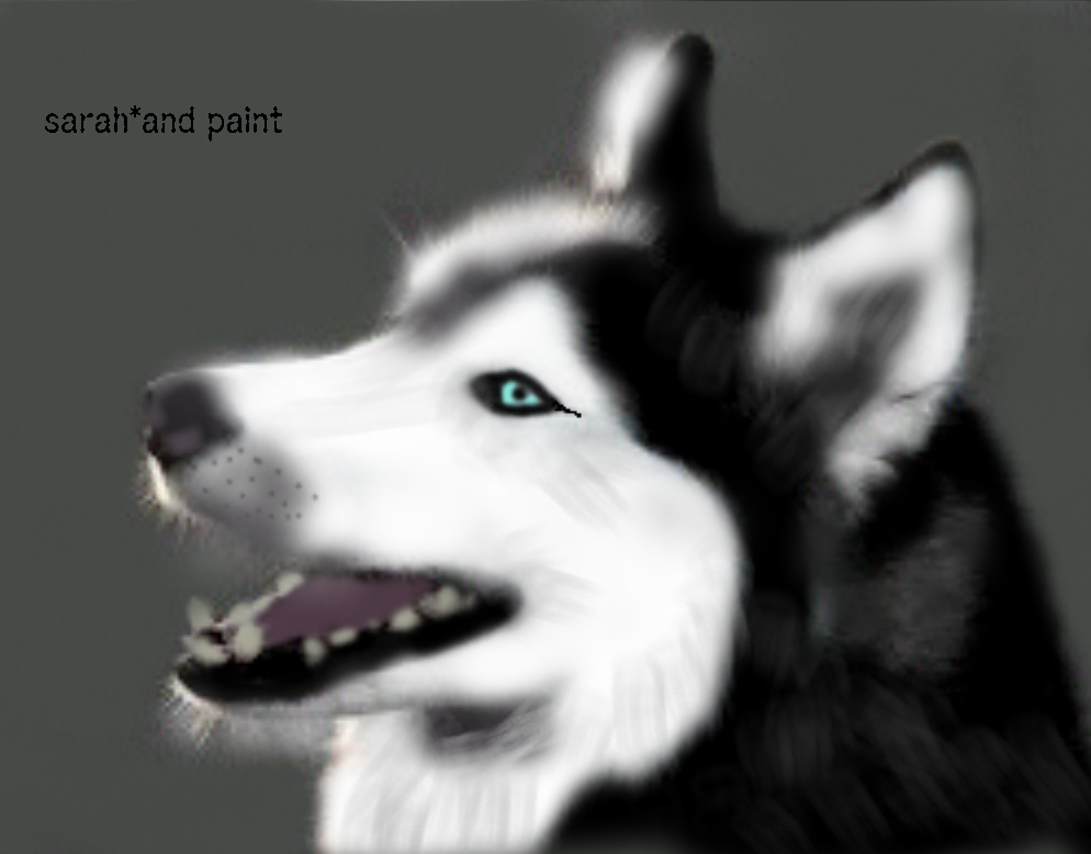 sarah*and paint sarah*and paint - Illustrations ART street