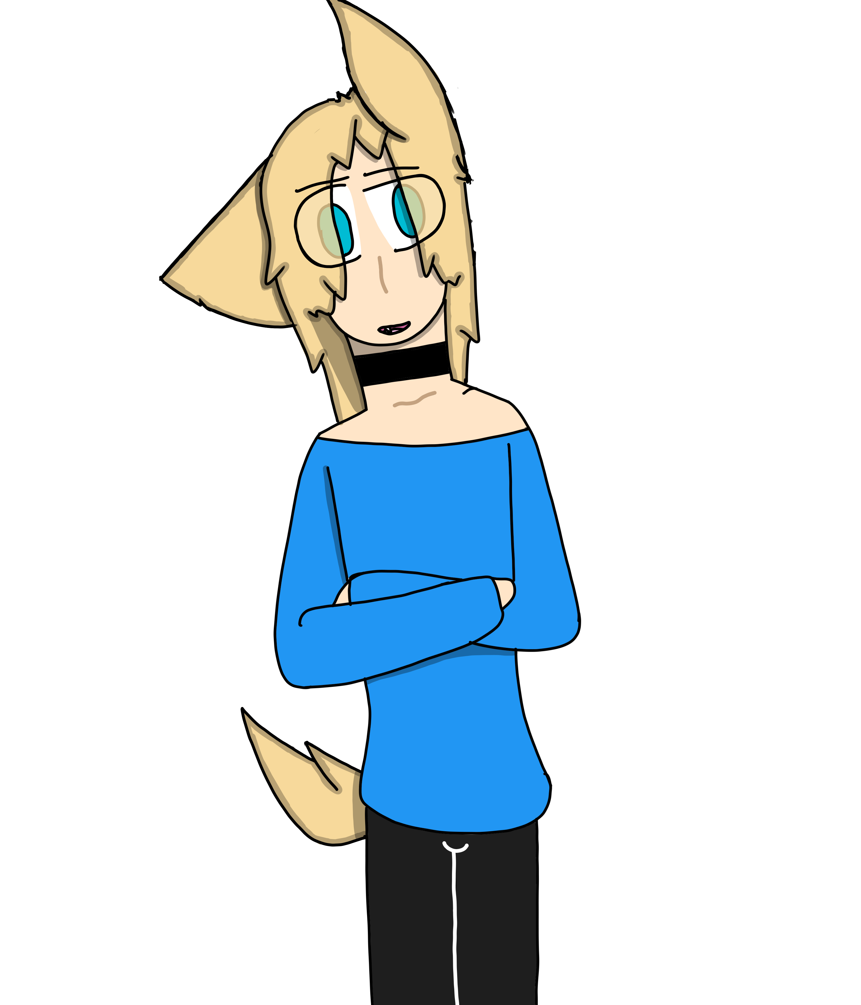 Doodle Animation Studios - Illustrations ART street