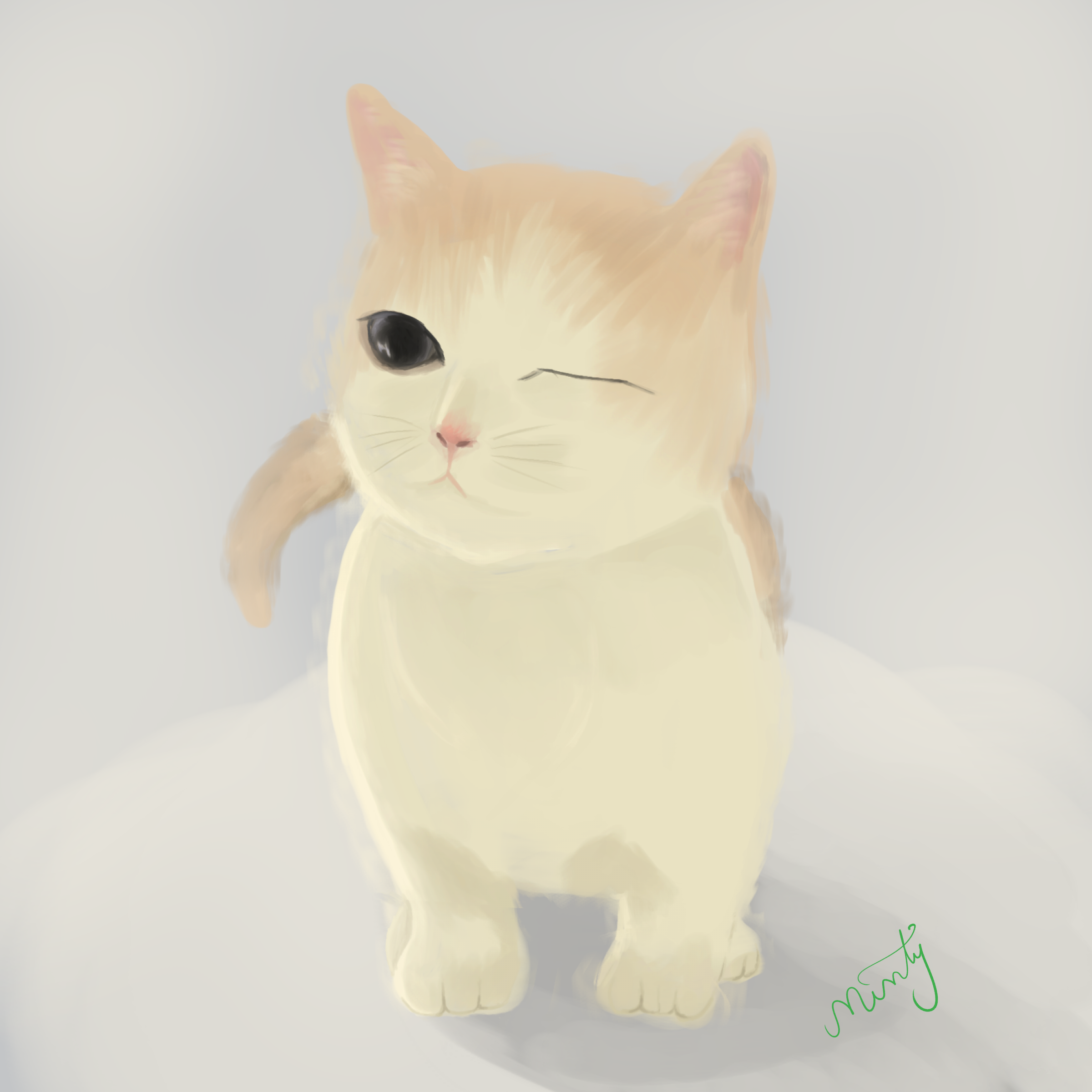 meow Minty - Illustrations ART street