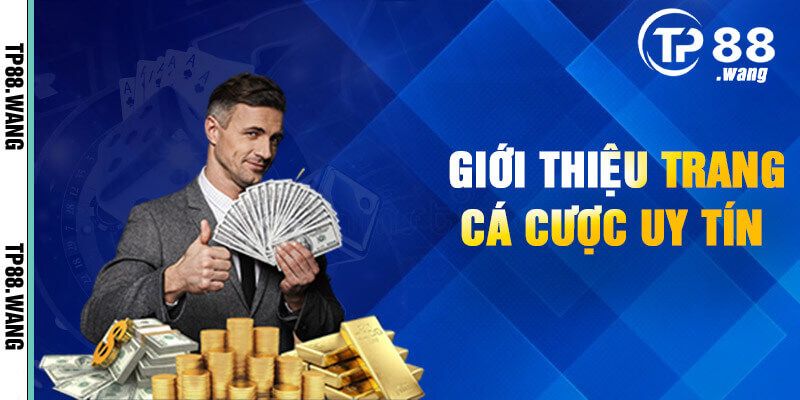 tp88wang｜ART street