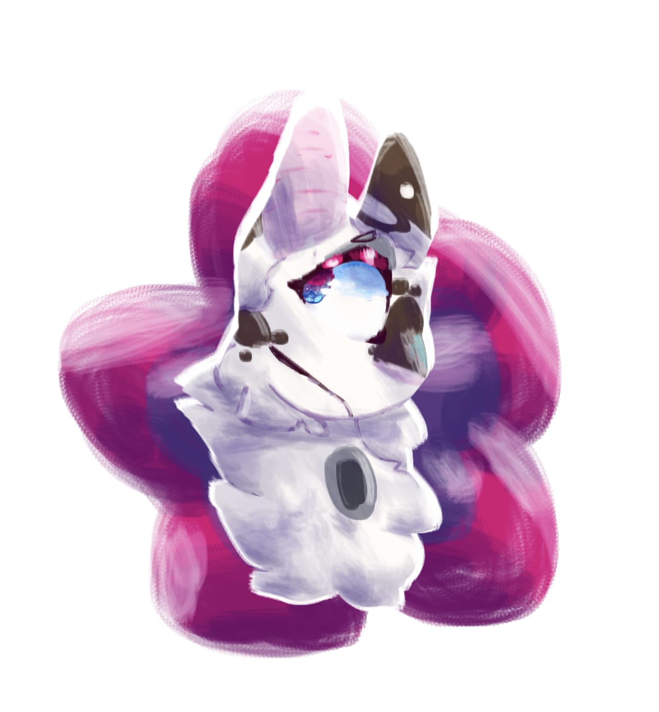 Something Cat on ø - Illustrations ART street