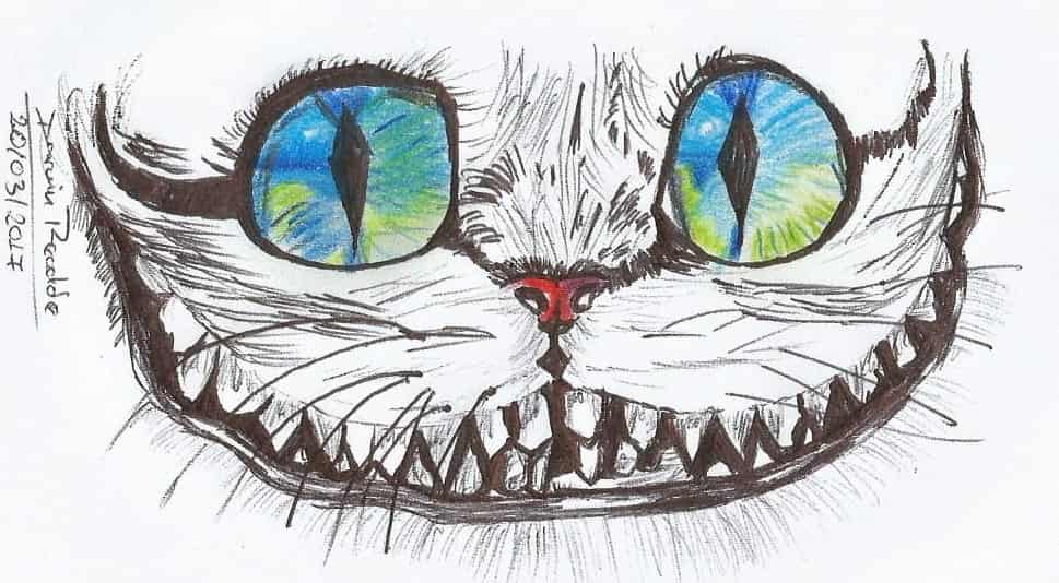 "Gato de Cheshire" Darwin Recalde - Illustrations ART street