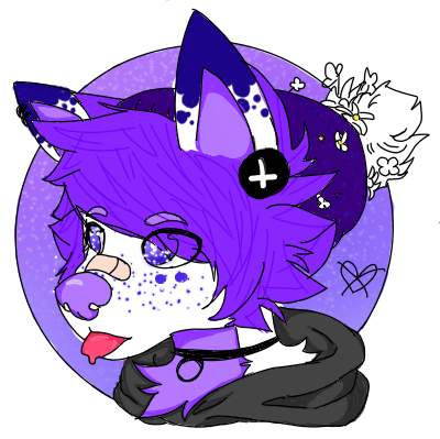 Phoenix my fursona Dva draws - Illustrations ART street