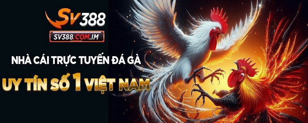 sv388comim｜ART street