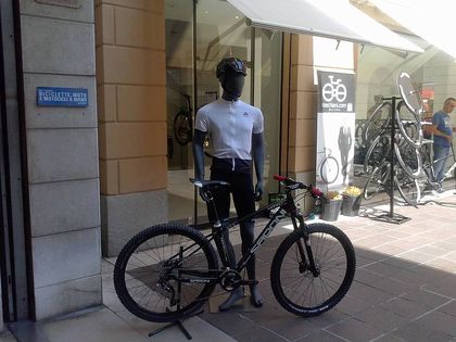 David Saroni Org Bike｜ART street