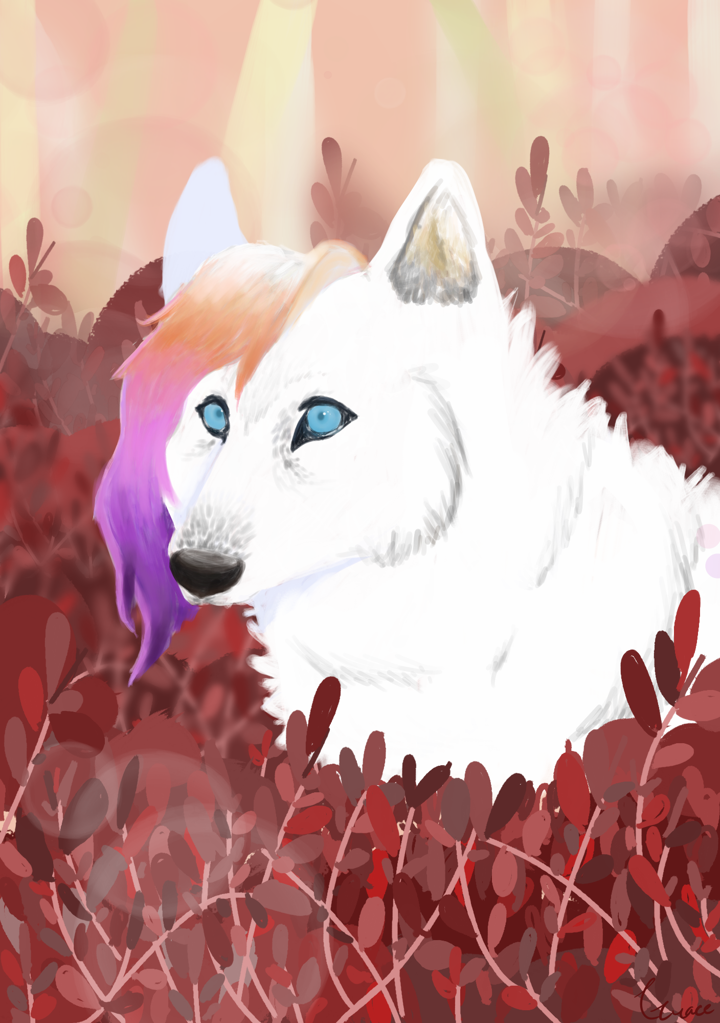 wolf Grace - Illustrations ART street