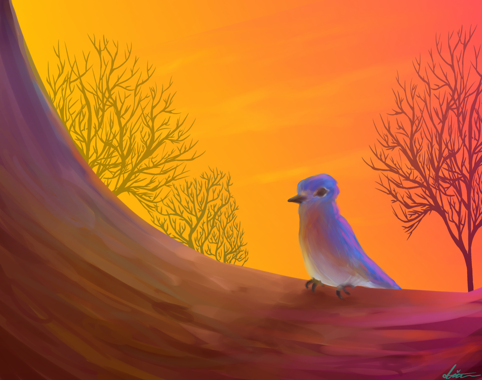 Blue bird A_Complicated_Mess - Illustrations ART street