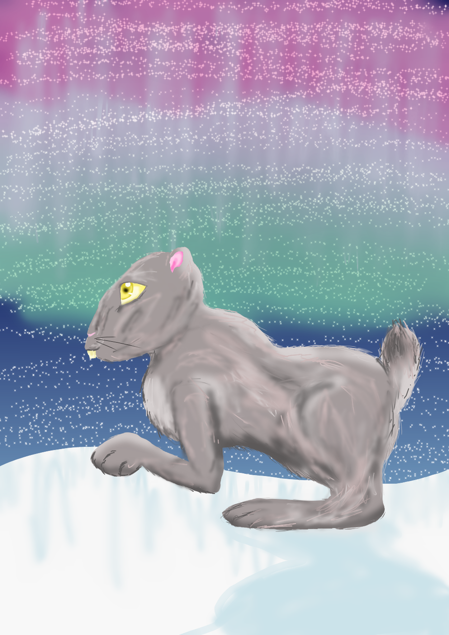 coldbunny Jein - 插图 ART street