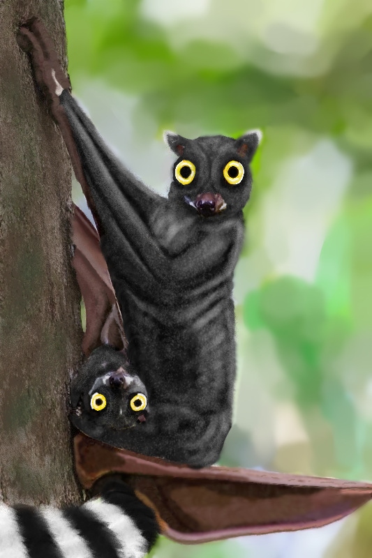 Winged Ring-Tailed Lemur GhostGoth - Illustrations ART street