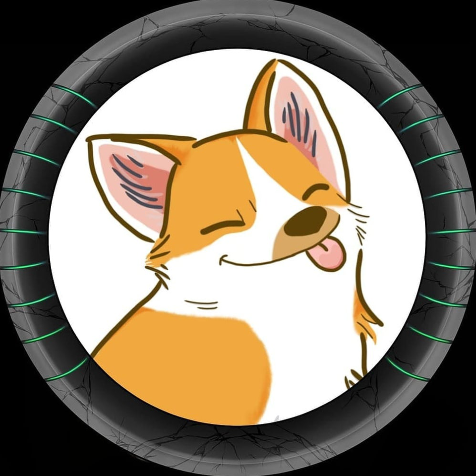 Corgi Token Wise03 - Illustrations ART street
