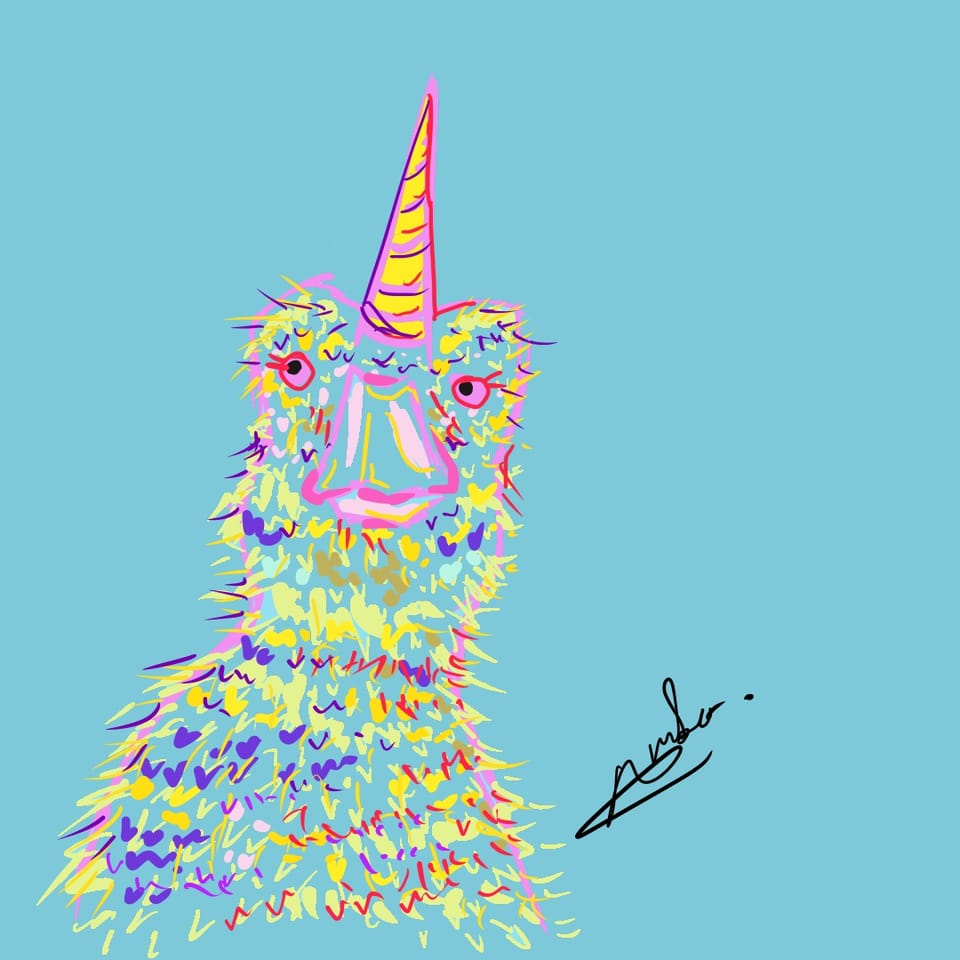 UNIDUCKY Rebma - Illustrations ART street