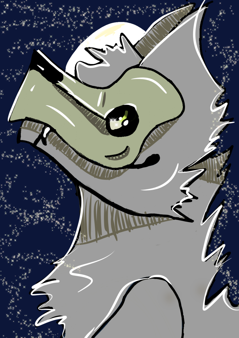 IDK Apache 14 - Illustrations ART street