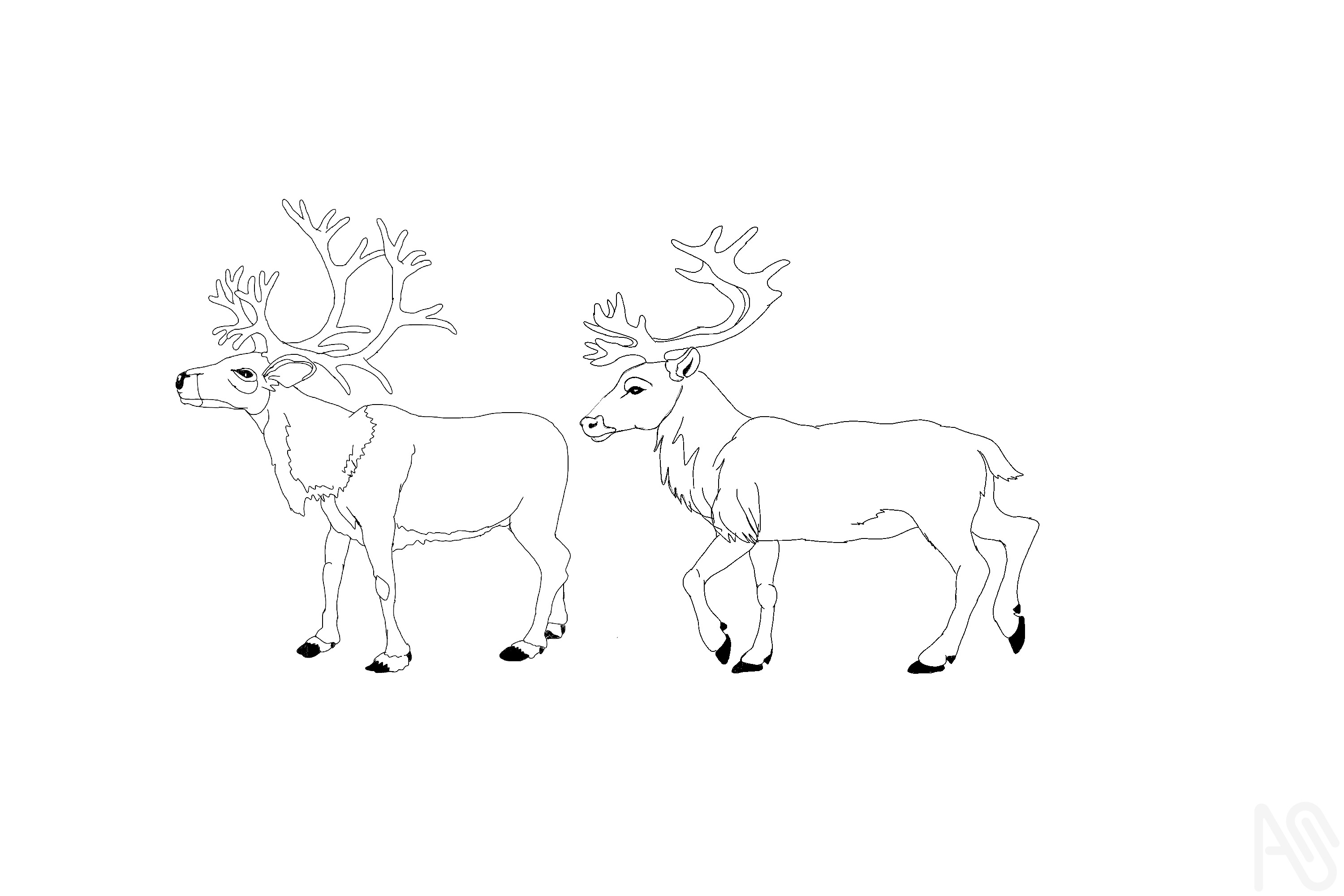 Deers Tunou - Illustrations ART street