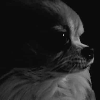 Danny mu｜ART street