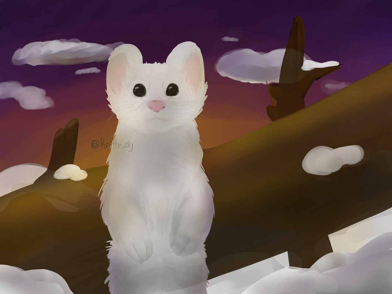 Ermine Knitte - Illustrations ART street