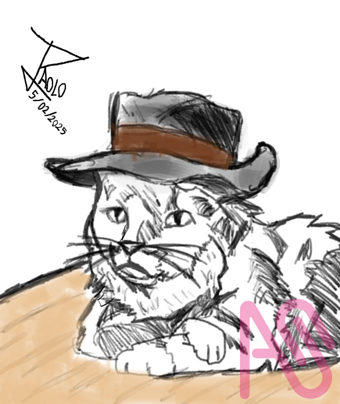 DIBUJO RAPIDO DE UN GATO Paolo_1212 - Illustrations ART street