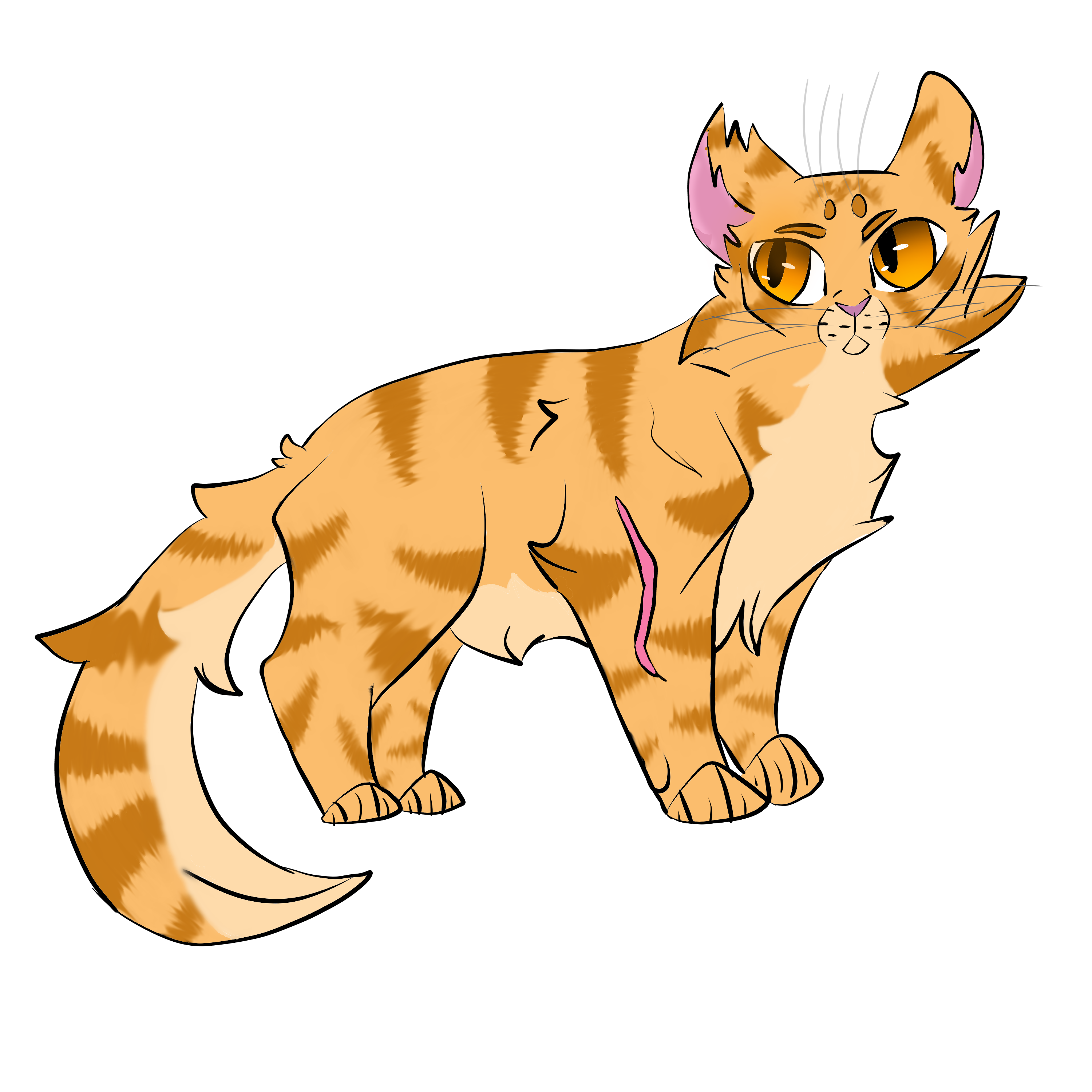 lionblaze Knfish2017 - Illustrations ART street