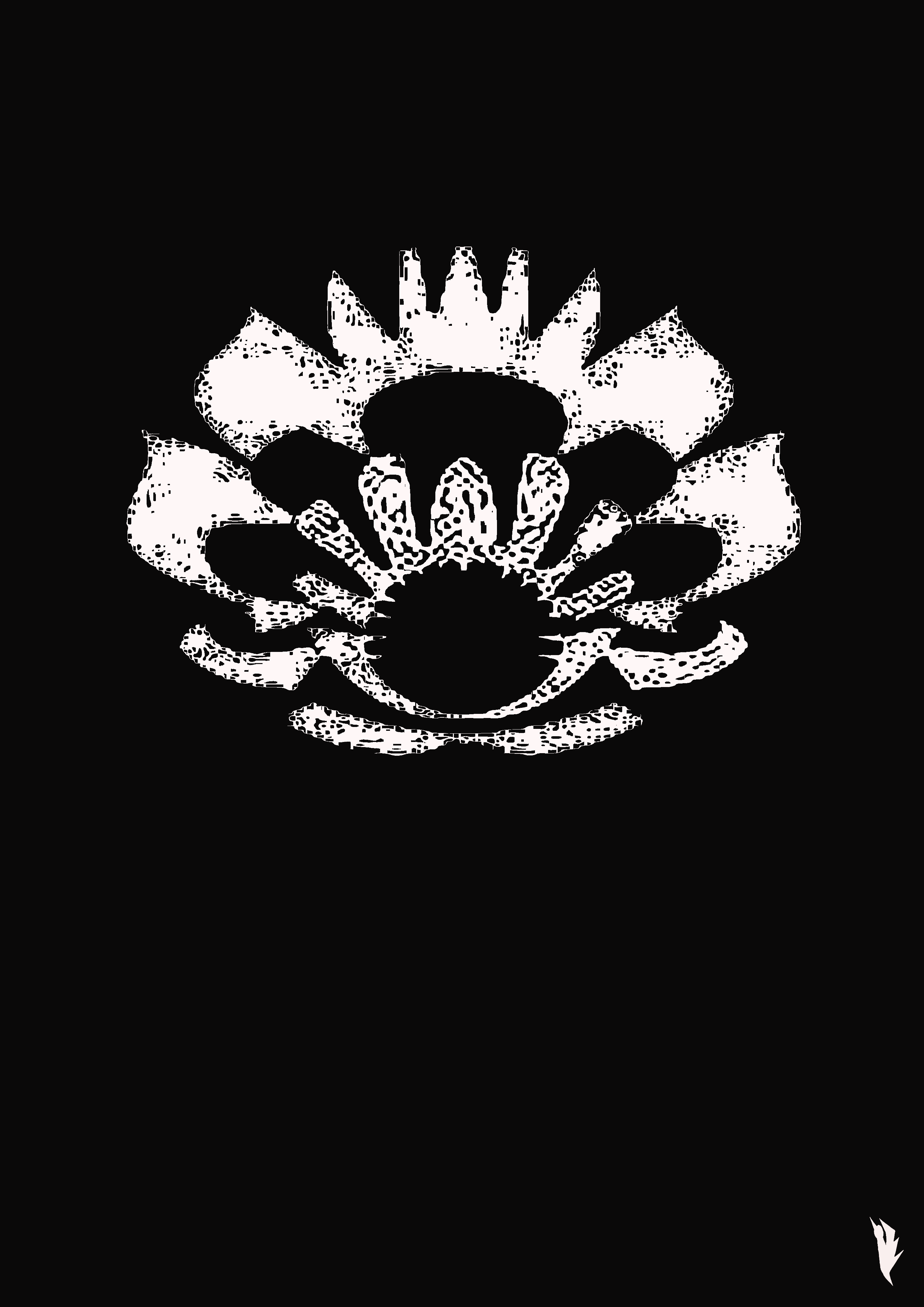 Fiower PTAK - Illustrations ART street