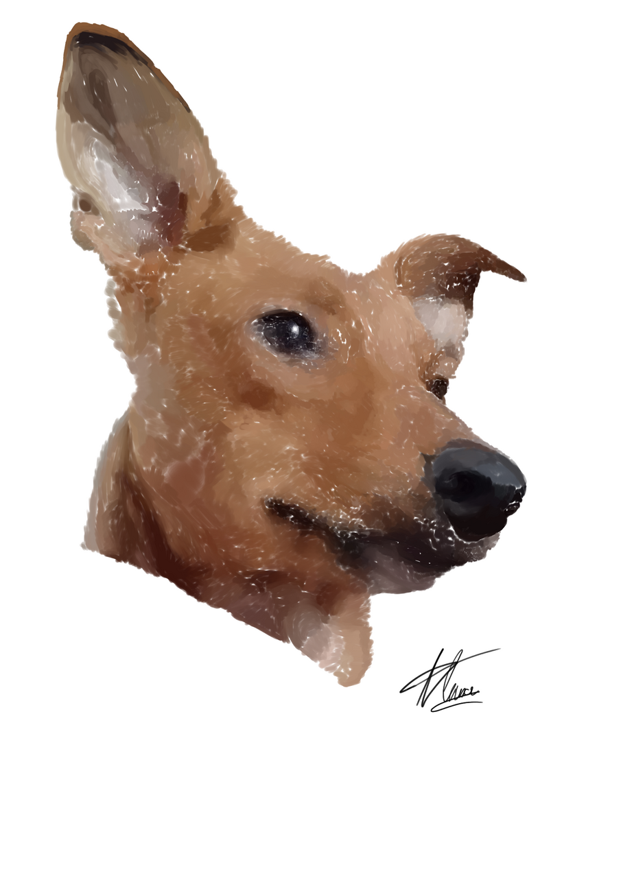 Nala alexio00 - Illustrations ART street