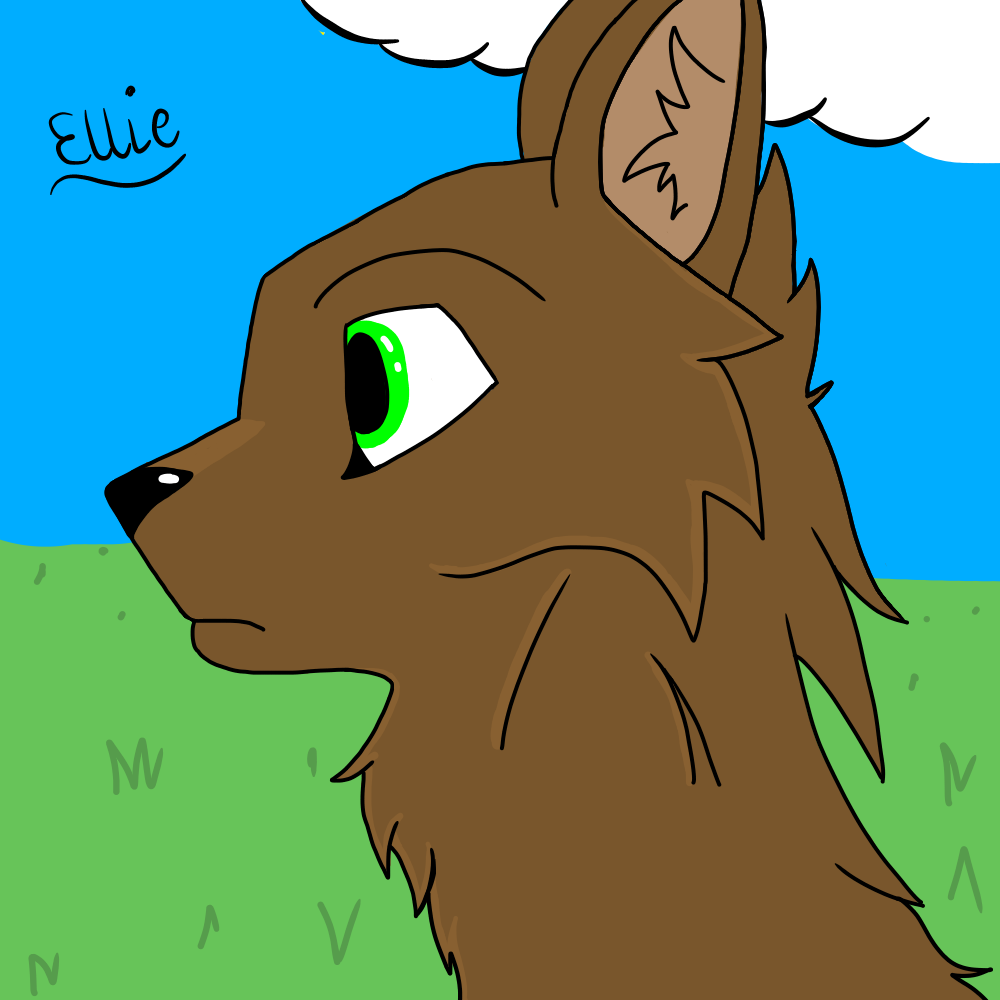 My Wolf OC - Blaze Sketchie - Illustrations ART street