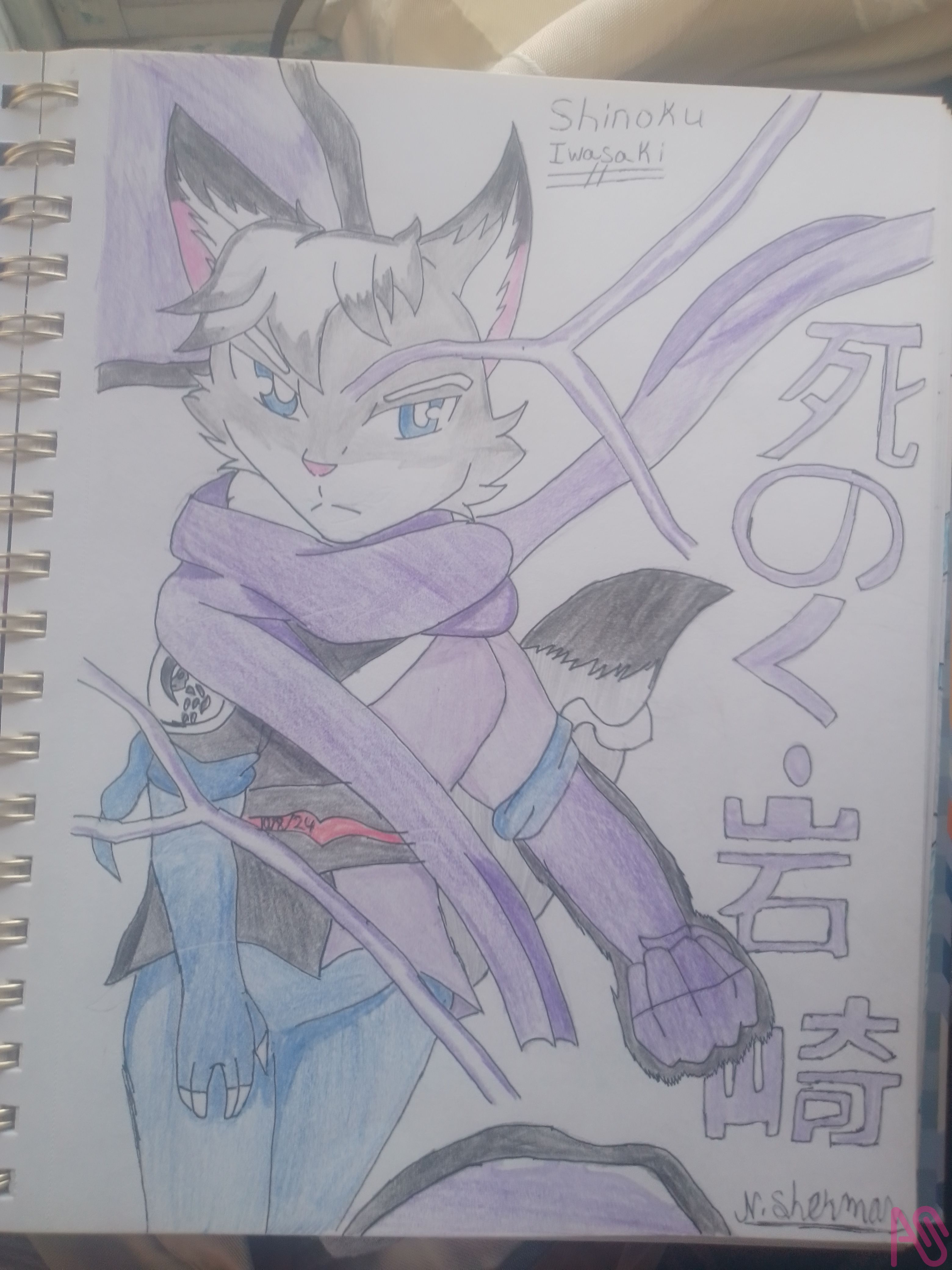 Shinoku Iwasaki V2 Navaree sherman - Illustrations ART street