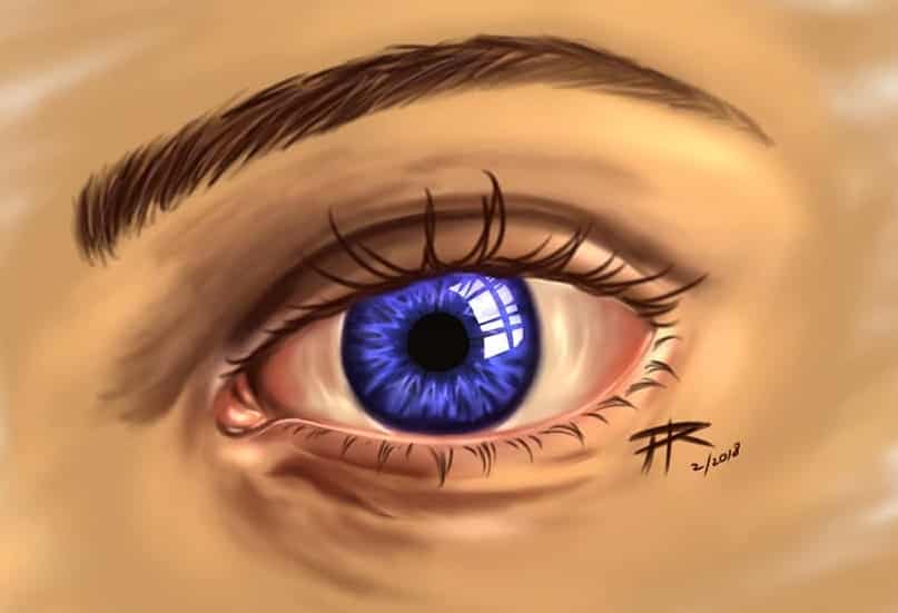 Blue eye Frank - Illustrations ART street