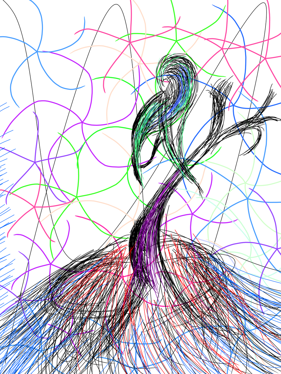 Line draw of a aves. akkupaulmoa - Illustrations ART street