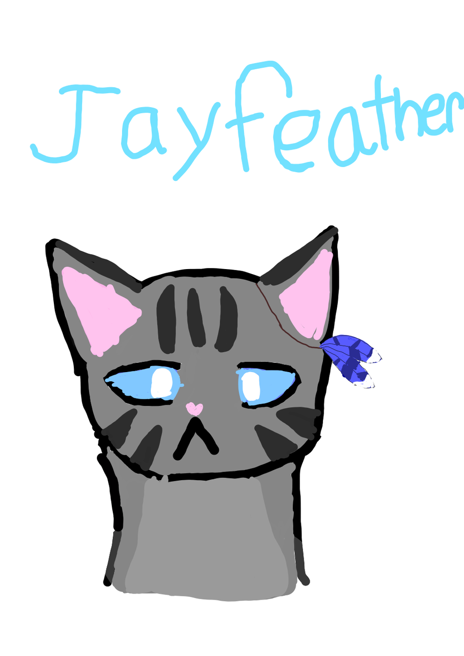 Jayfeather InkyCat - Illustrations ART street