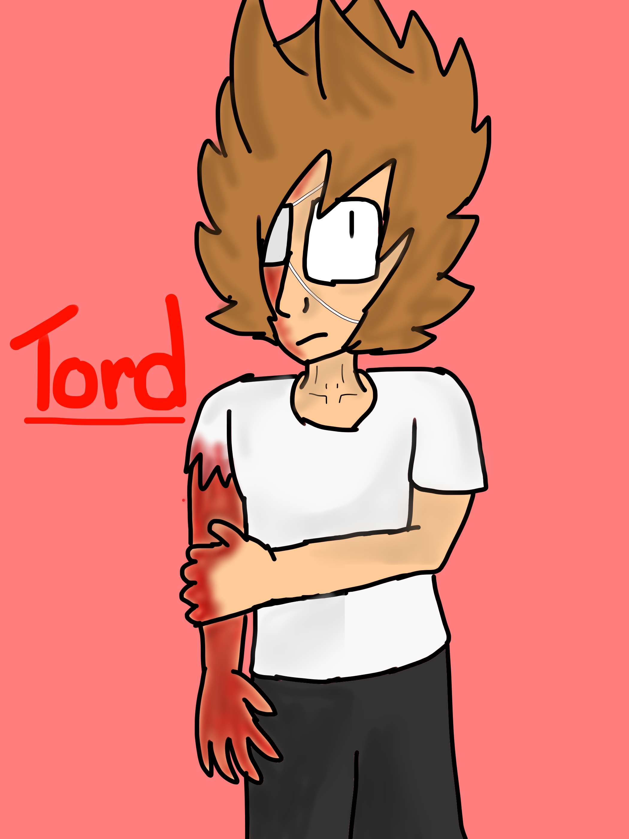 Tord GravityPhoenix - Illustrations ART street