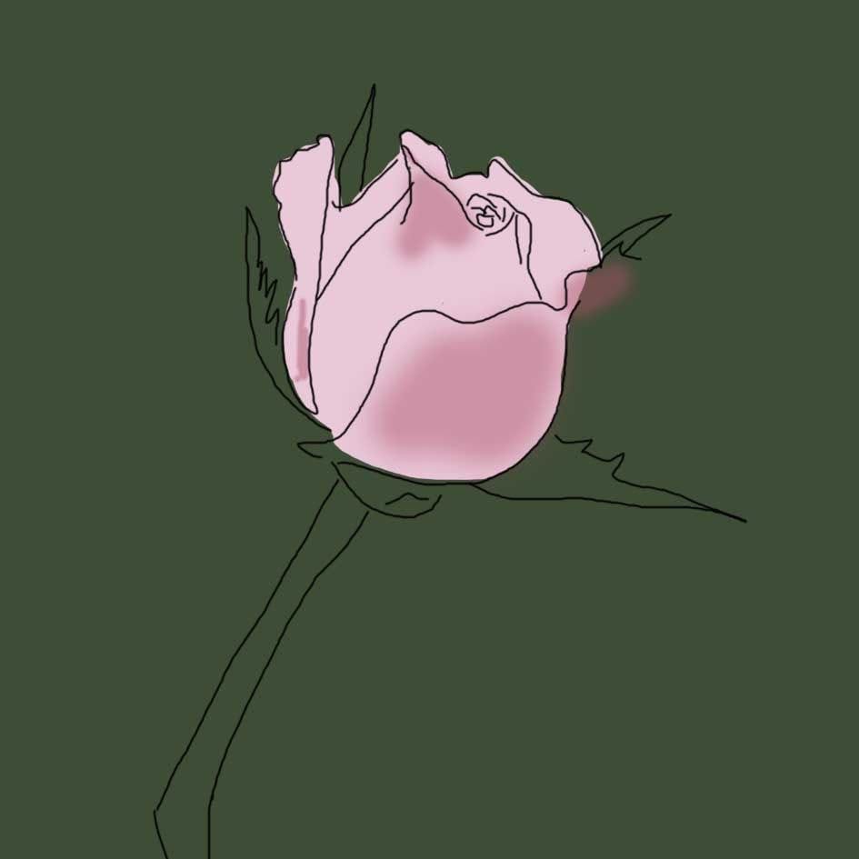 Vghui Bow - Illustrations ART street