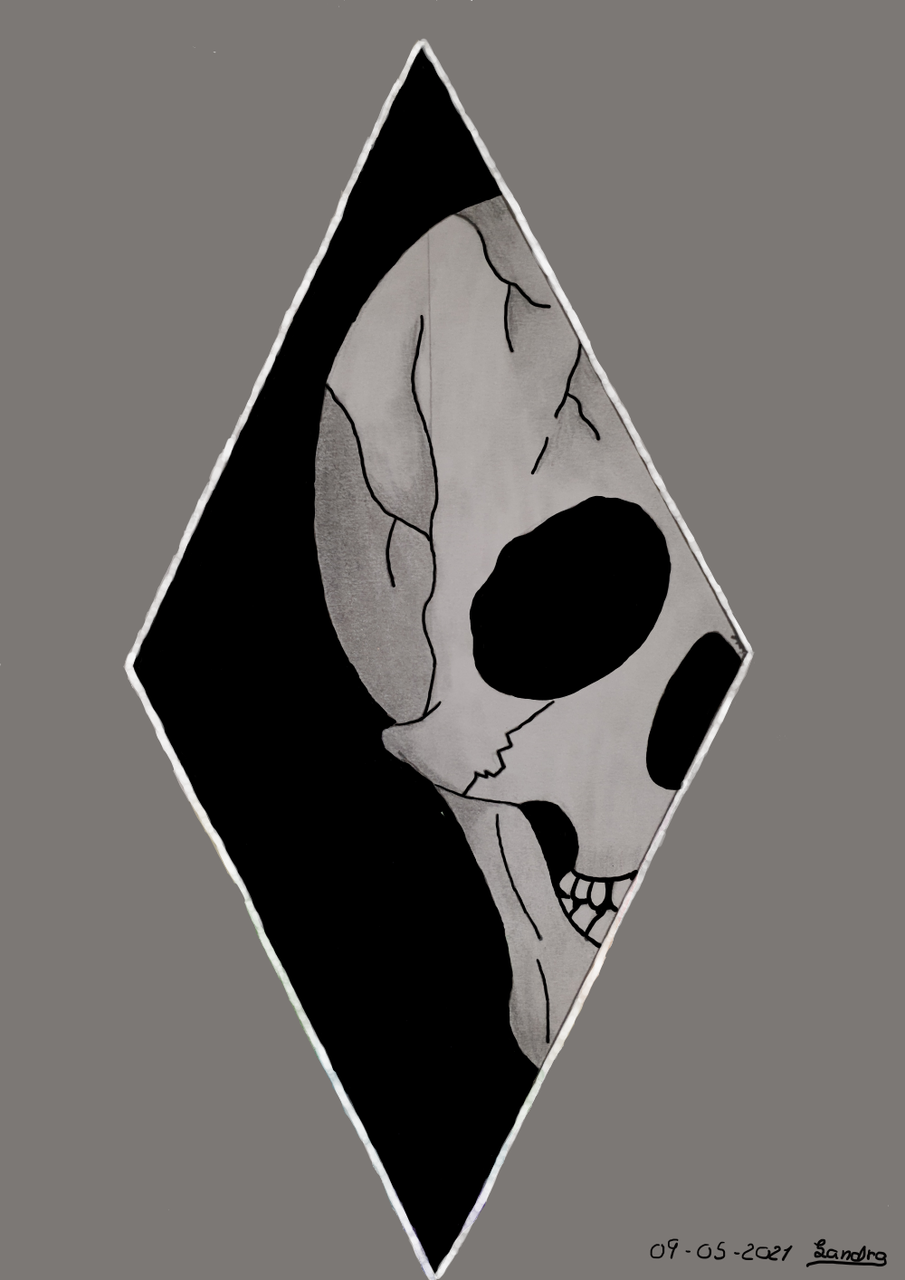 Caveira Sandra Sofia - Illustrations ART street