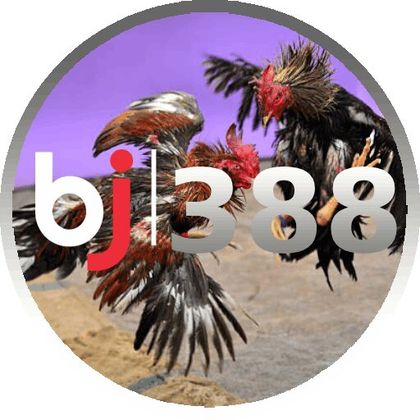 bj388store｜ART street