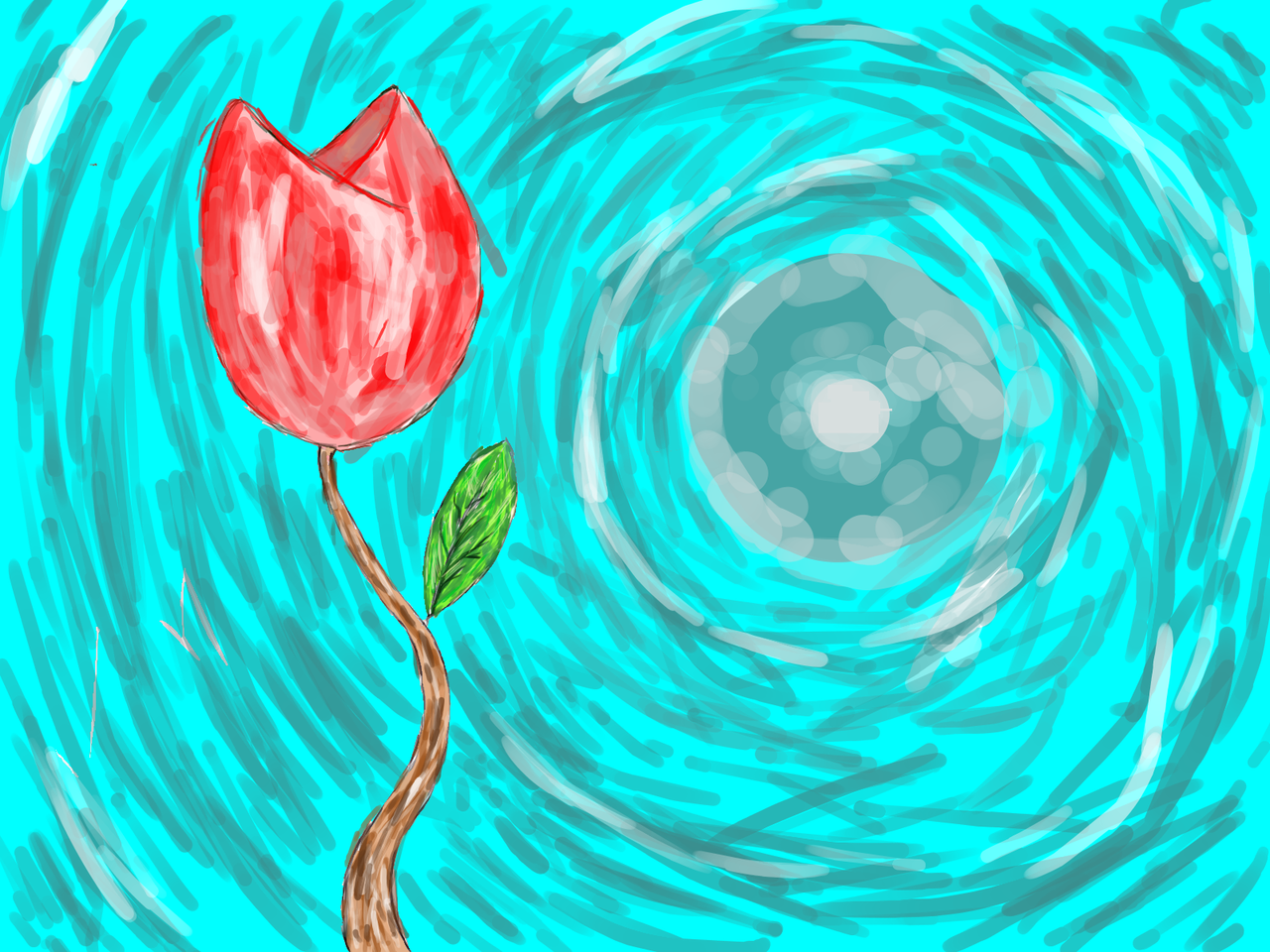 Bosk marco - Illustrations ART street