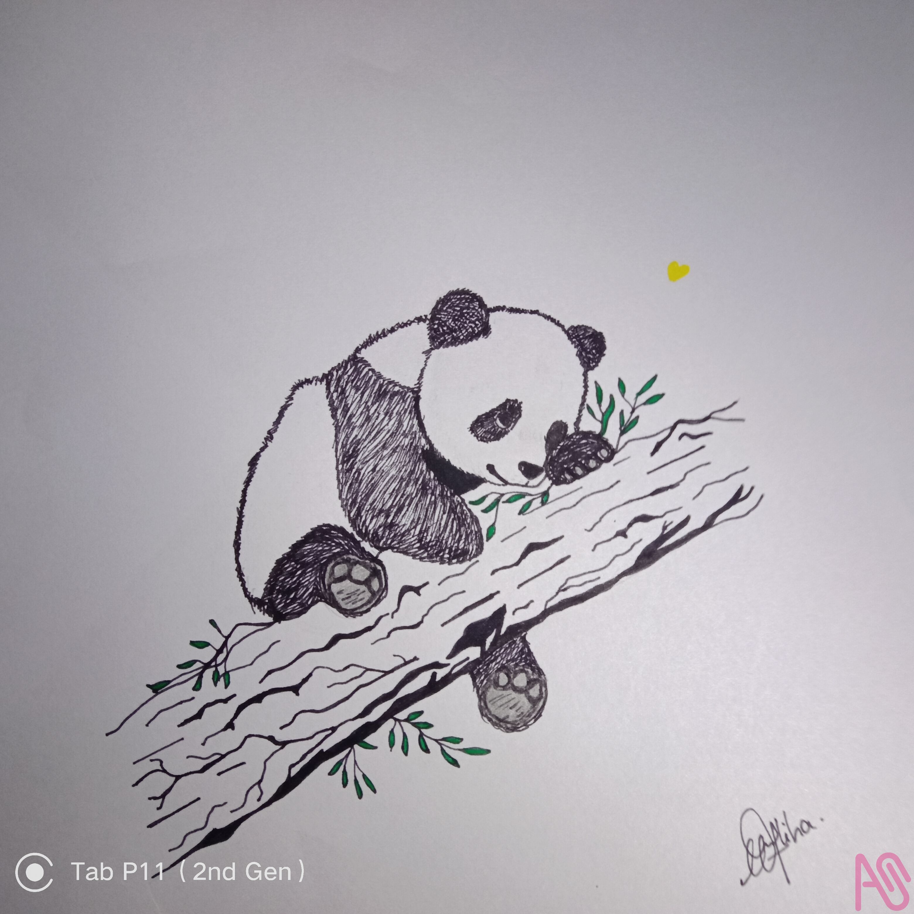 Mr.panda 🐼 Mufliha - Illustrations ART street
