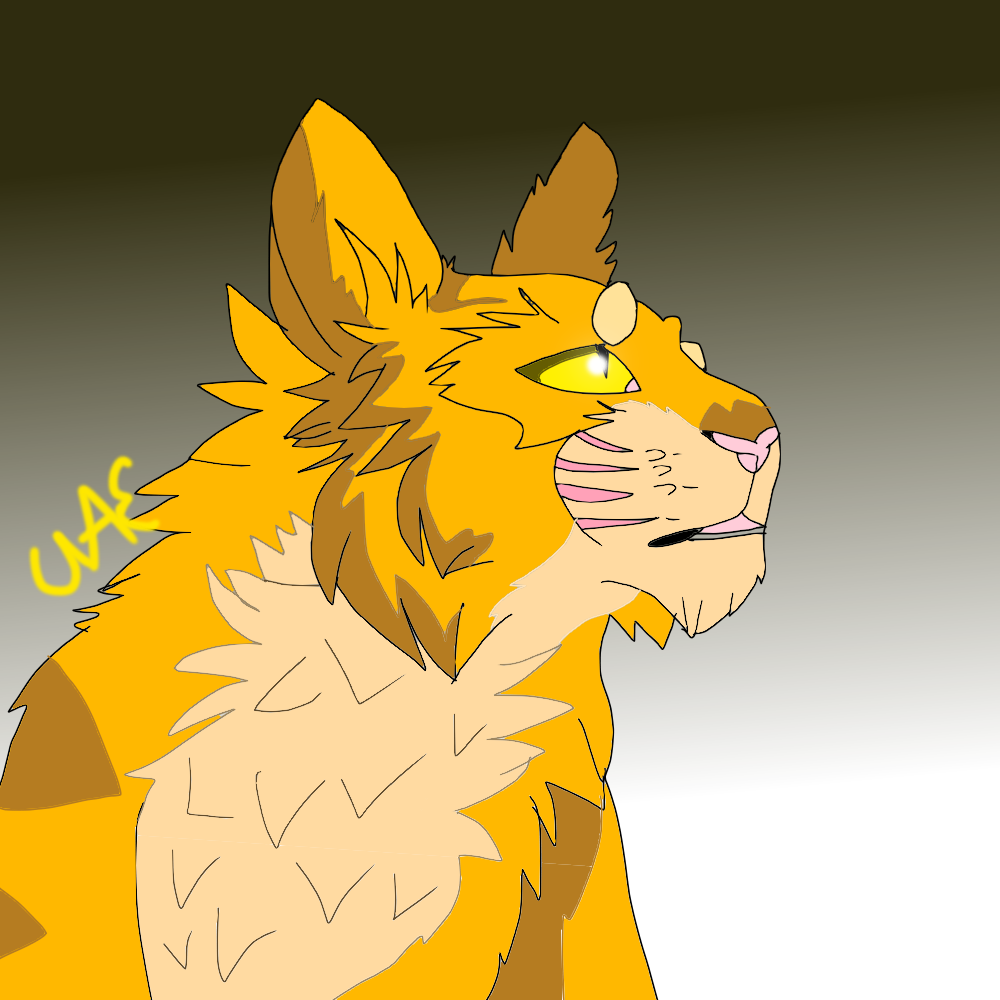 Lionblaze Catslion11 - Illustrations ART street