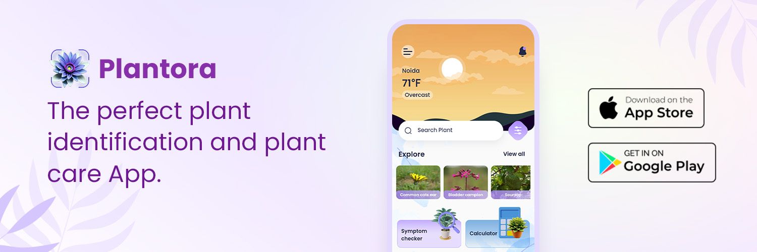 PlantoraApp｜ART street