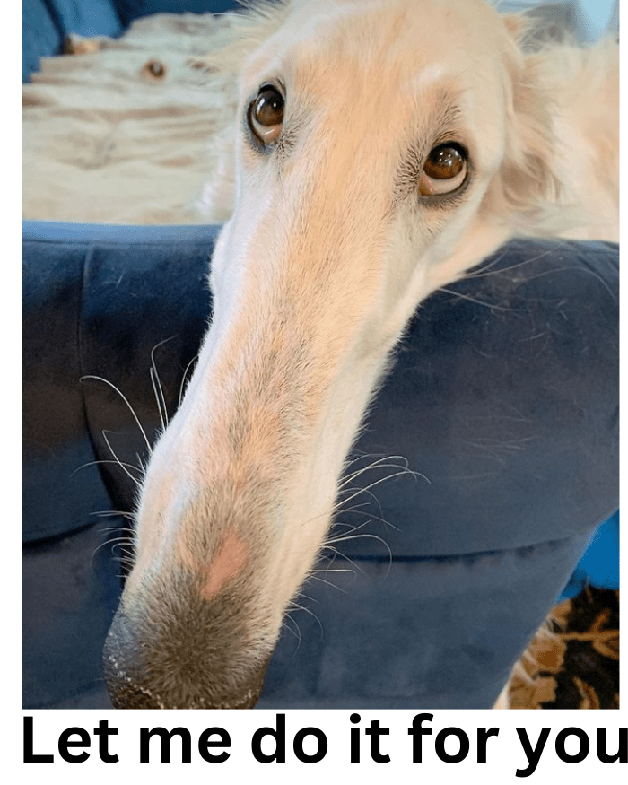 hehe hi｜⭐☆BRI'S_V0iD☆⭐(RotInTheWoods)☆'s Topic｜ART street