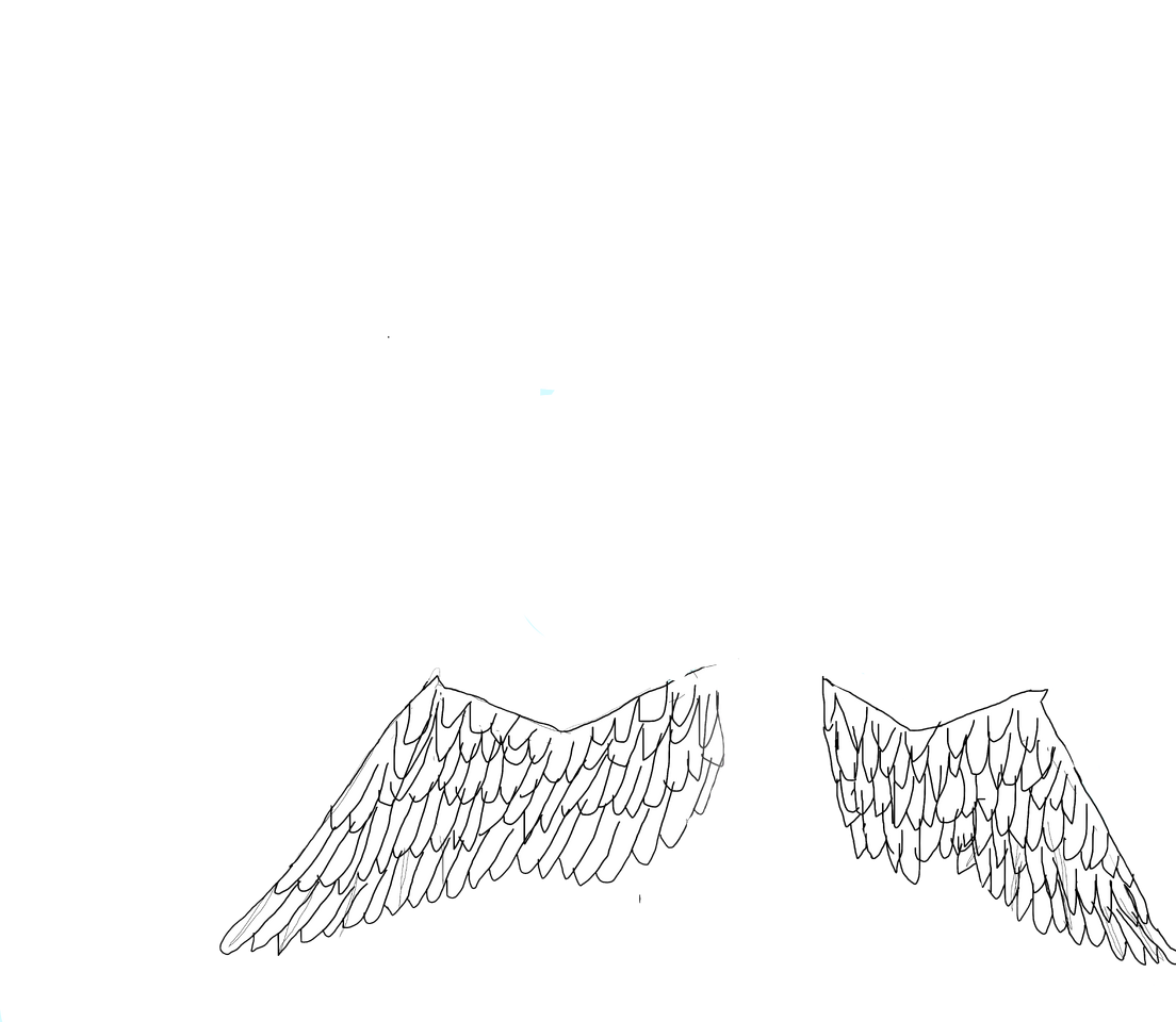 Wings Raven-light - Illustrations ART street