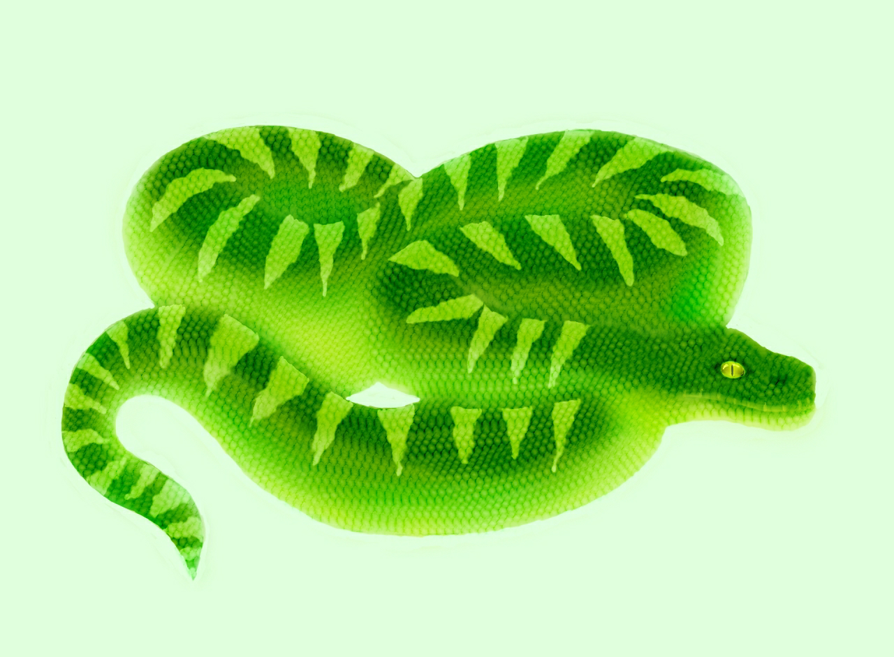 snake Dea_Kinga - Illustrations ART street