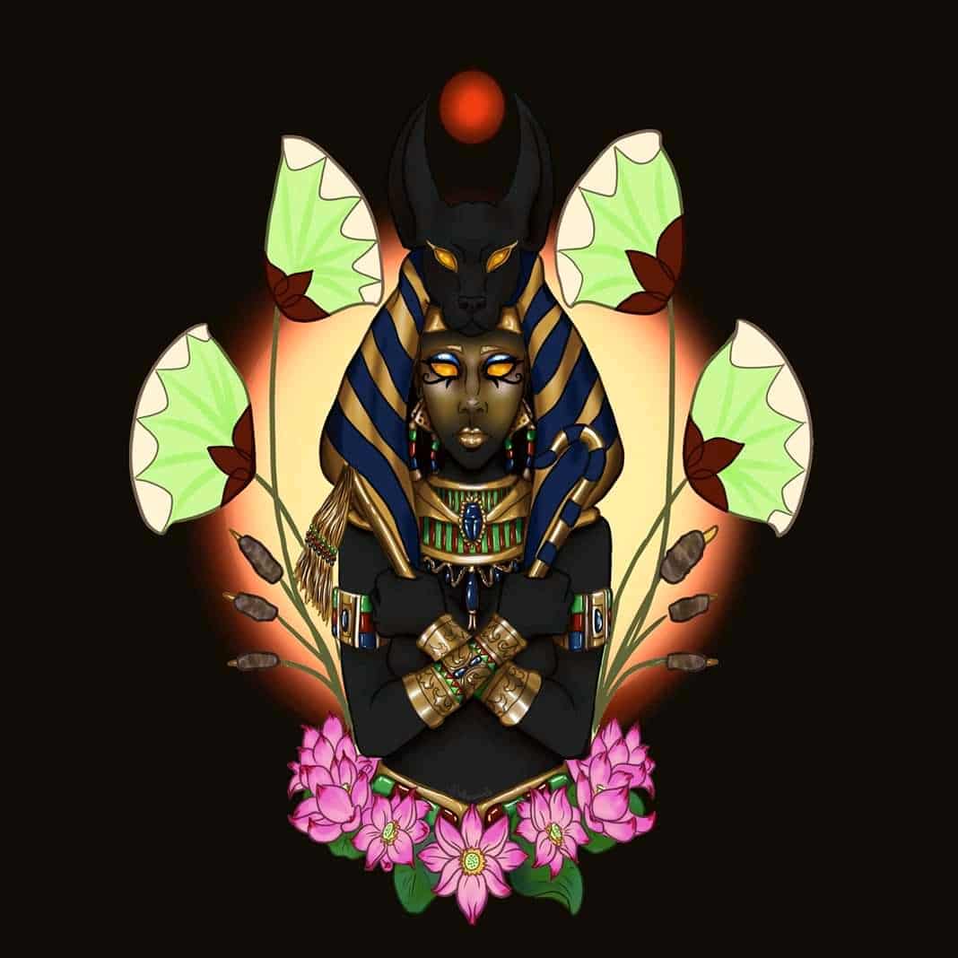 Faraona Fara Albamv26 - Illustrations ART street